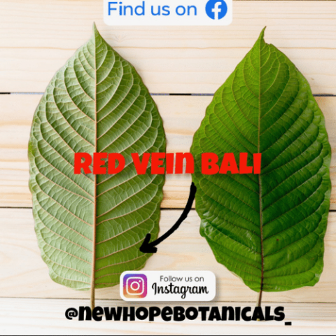 Red Bali - New Hope Botanicals